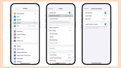 What Is Data Roaming - Explanation, Iphone & Android Usage | OHAYU eSIM