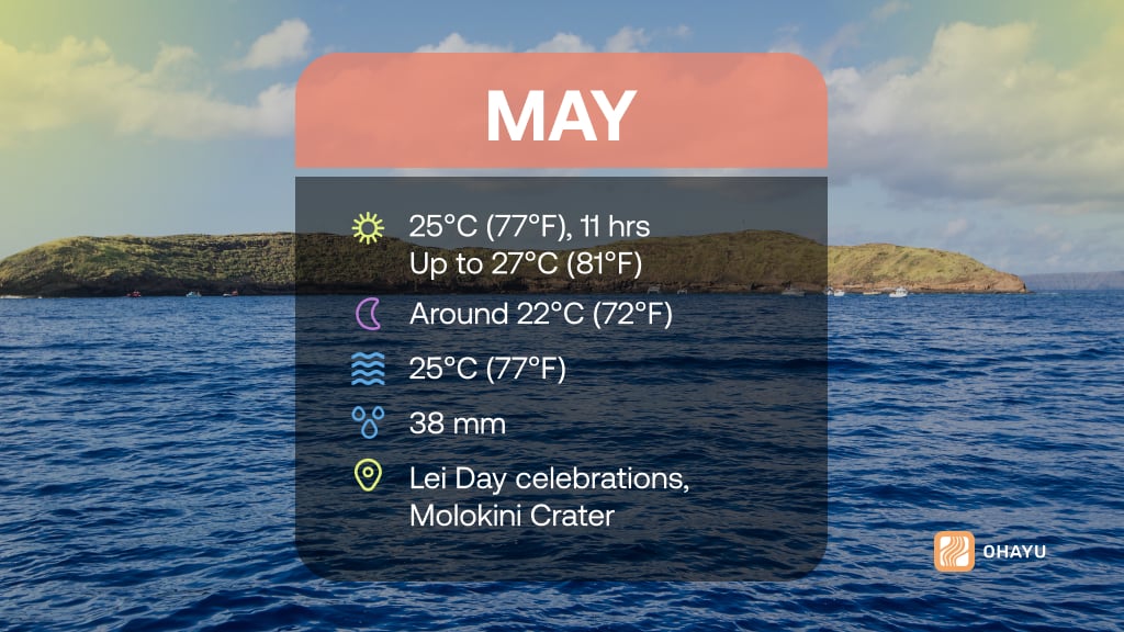 Best Time to Travel to Hawaii 🌺 Weather, Prices, Seasons | OHAYU eSIM