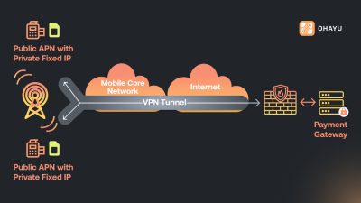 What is APN (Access Point Name)? - OHAYU eSIM