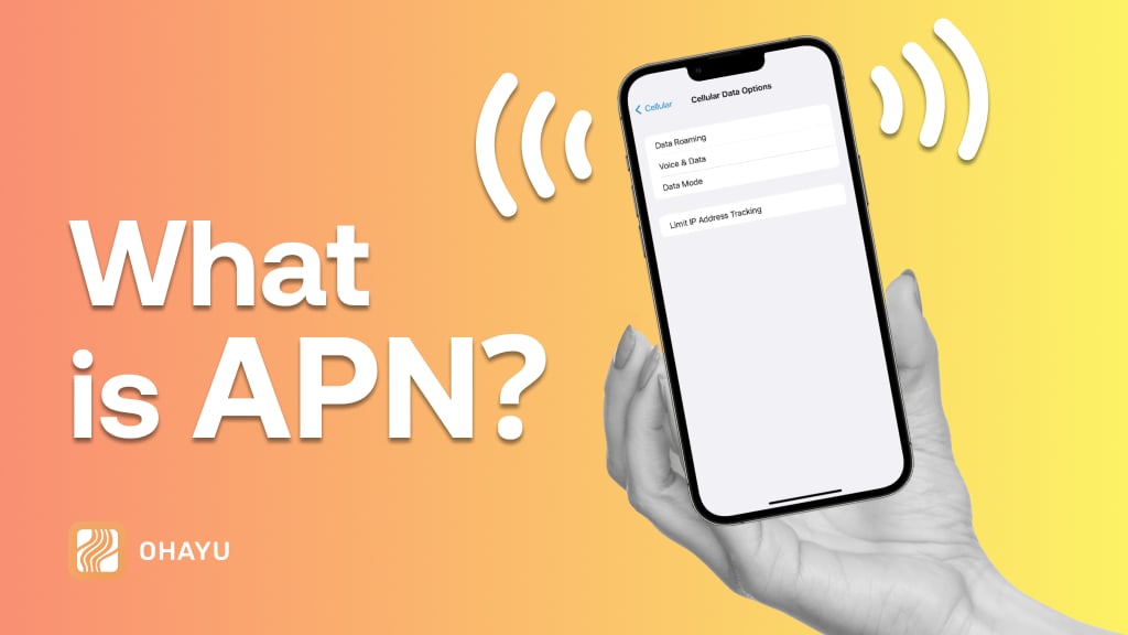 What is APN (Access Point Name)? - OHAYU eSIM