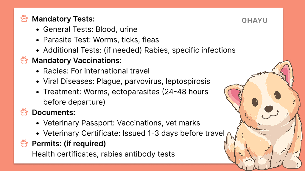 How to make your pet comfortable during travel 🐾 OHAYU eSIM