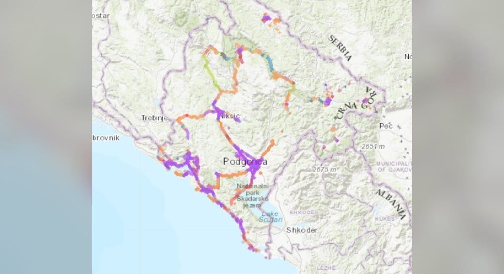 Best Montenegro Mobile Operators - Prices, 5G Coverage, Speed